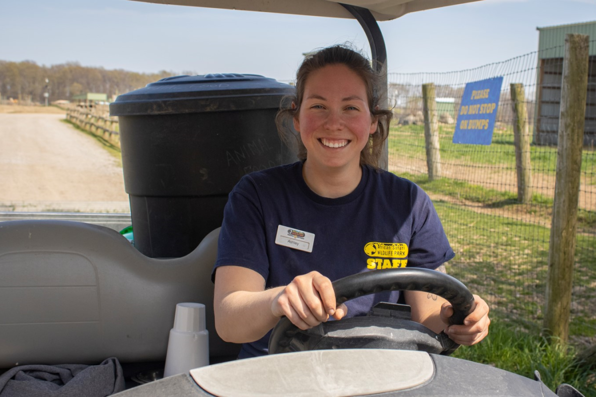 “Work on the wild side”: African Safari Wildlife Park hiring for 50 ...